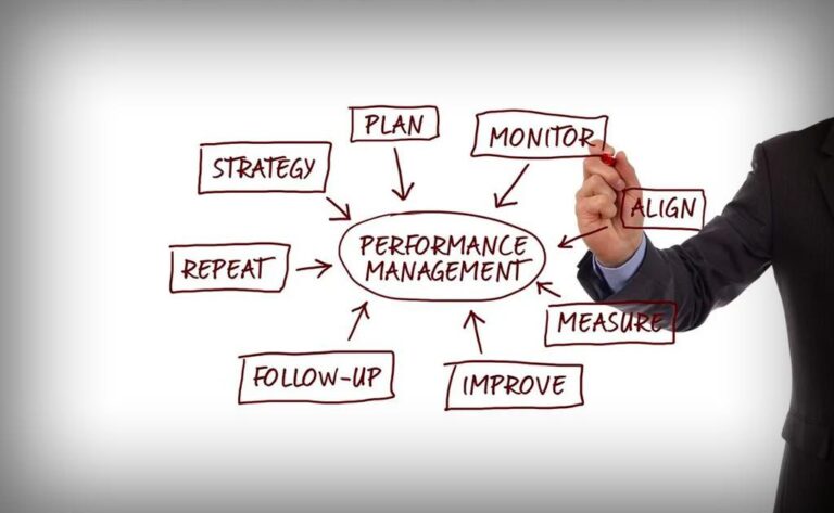 Performance Management - Unison Mining