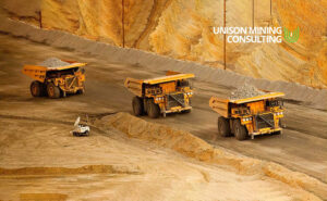 Queue Management - Unison Mining